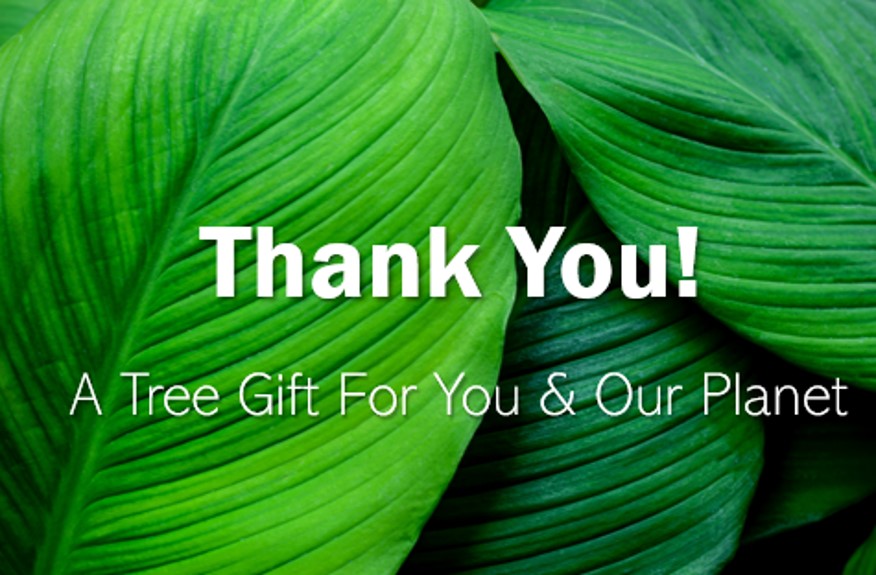 Tree Gift Cards - Trees4Travel